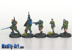 Caledonian Highlander Army - MadFly-Art Miniature Painting Studio